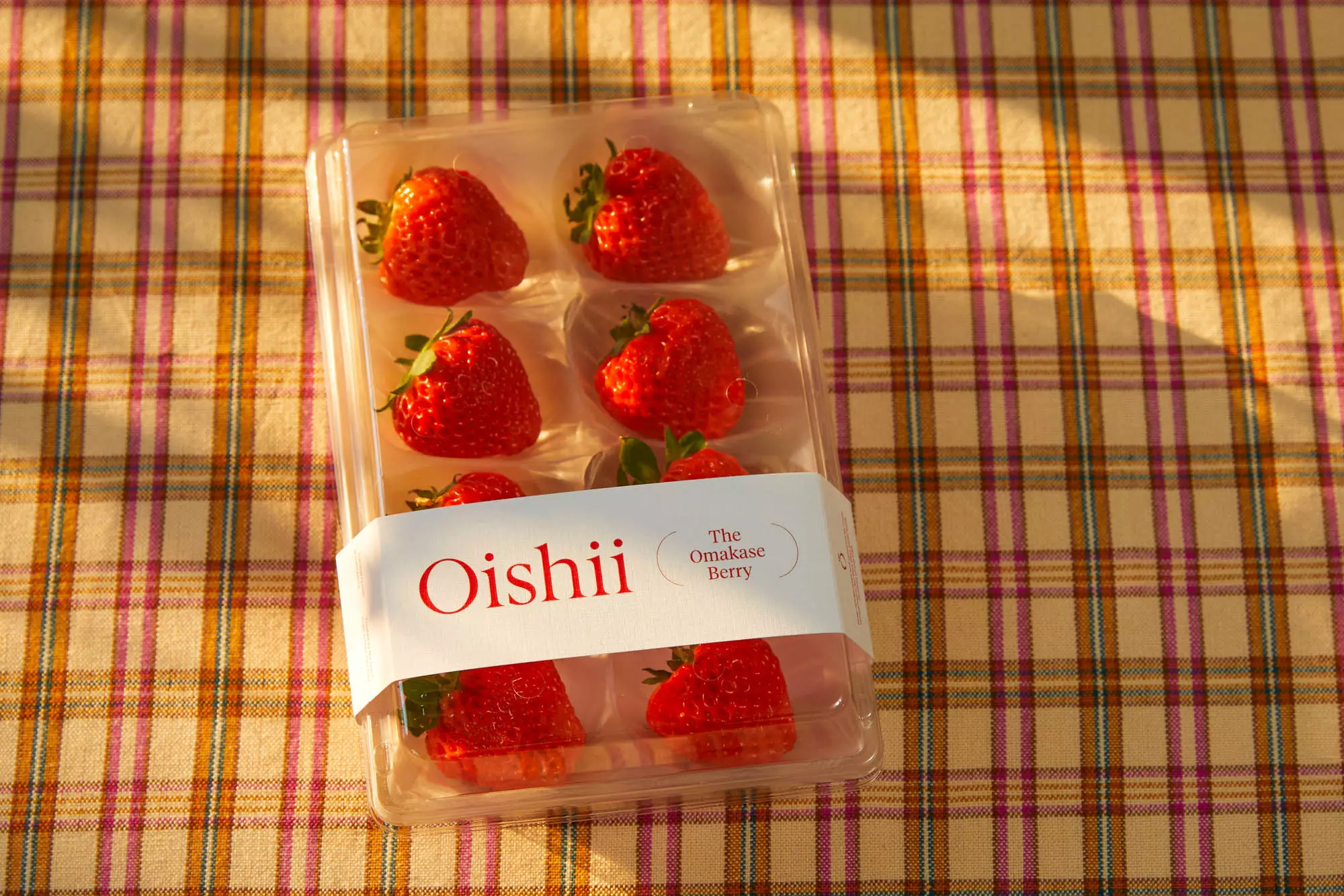 Oishii frèz