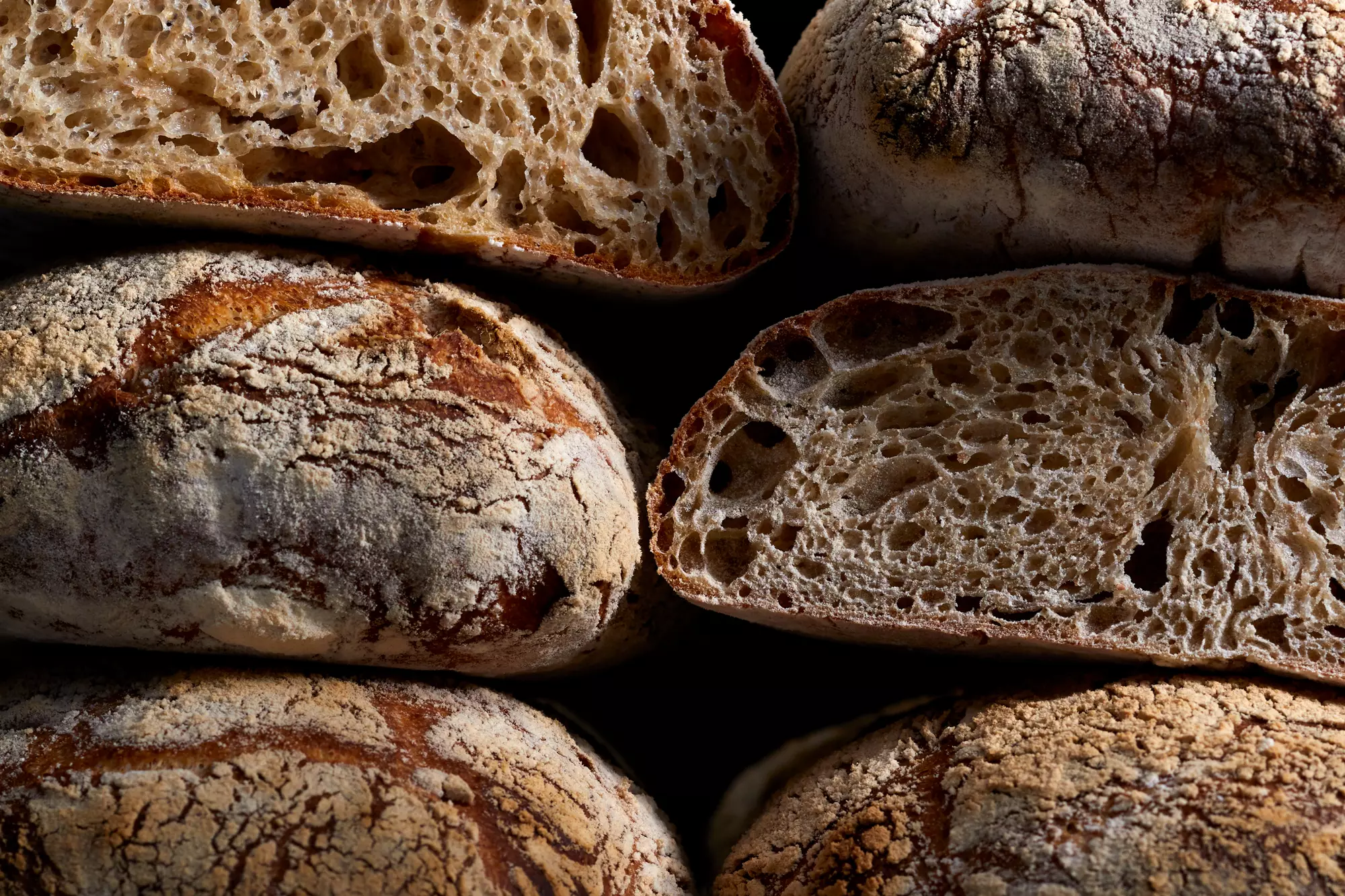 Pituduh ka Ragi Sourdough pikeun Roti