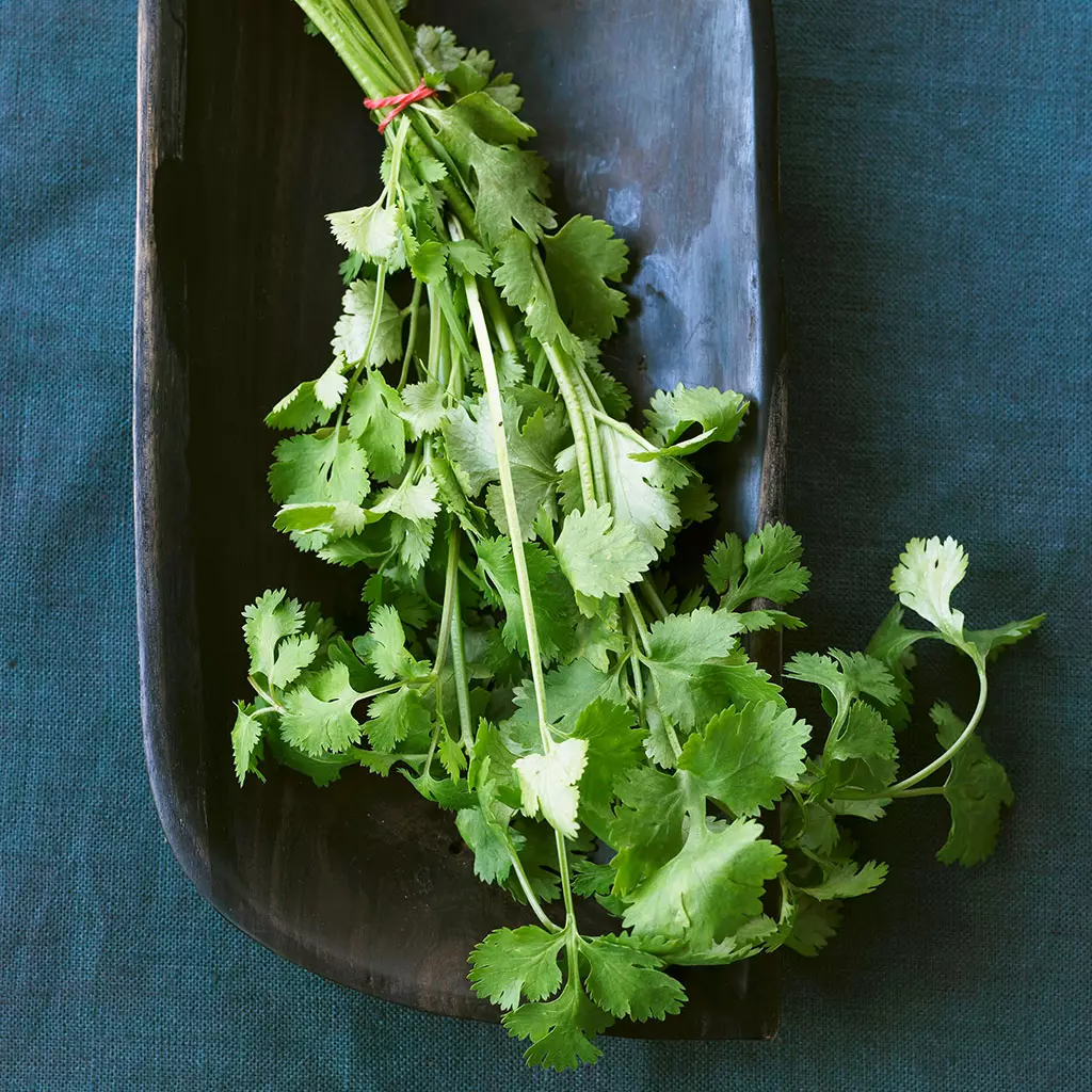 FWX CILANTRO POOP