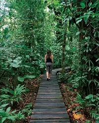 Nyumba Ndogo Bora za Eco-Lodge