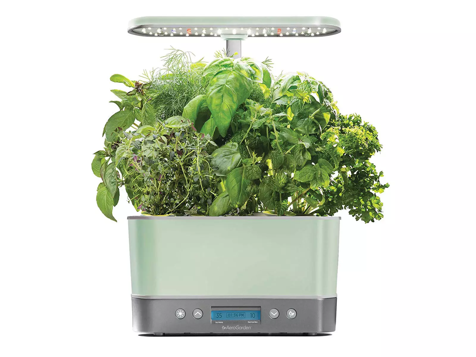 aerogarden