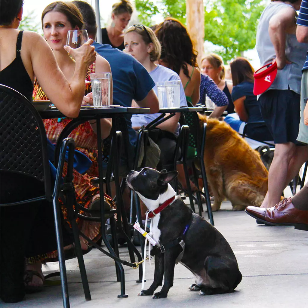 FWX YAPPY HOUR