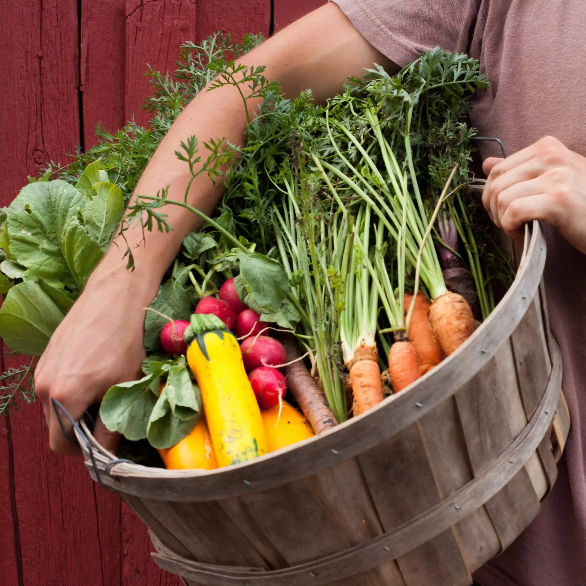 FWX OVERSTOCK FARMERS MARKET_2