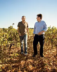 Die Weinberge von Beaucastel in Châteauneuf-du-Pape