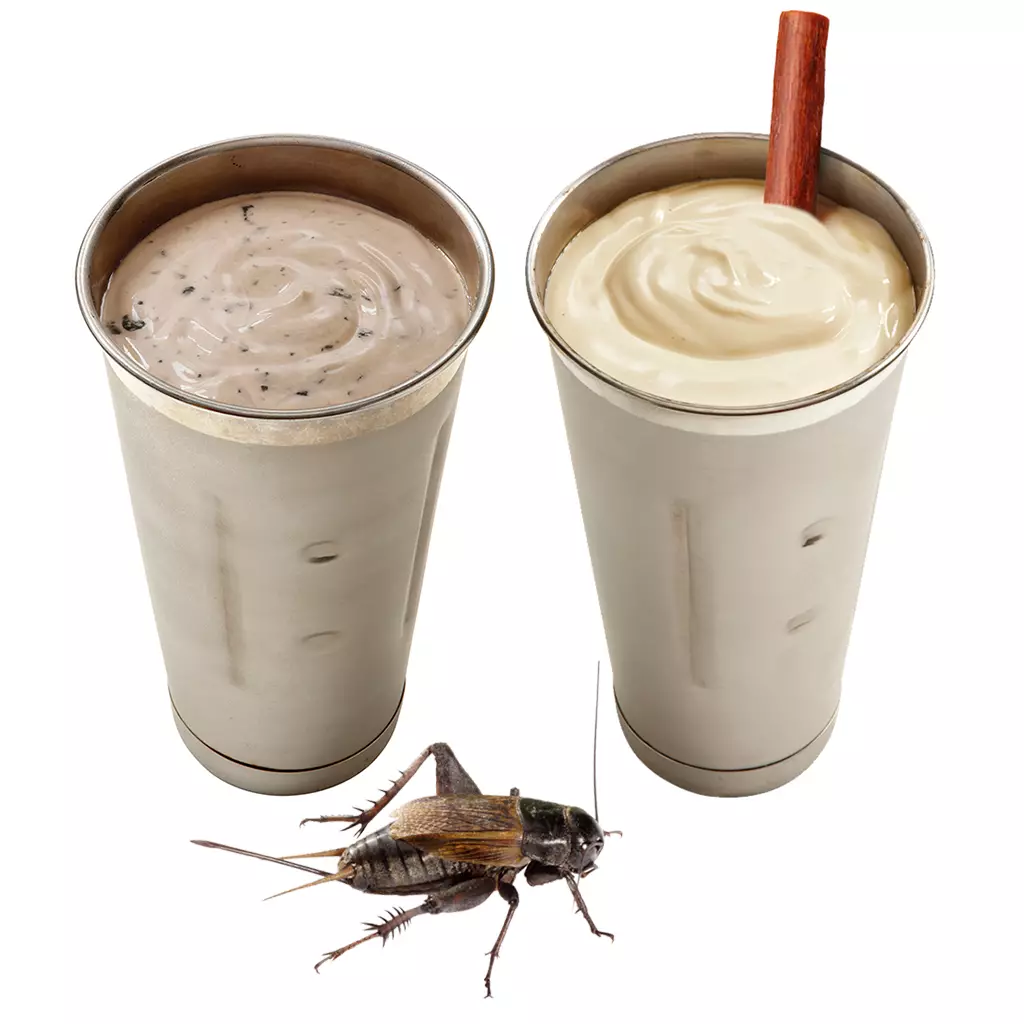 FWX CRICKET MILKSHAKE CRICKET