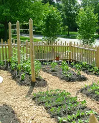 images-sys-200806-a-gardening-chicago.jpg