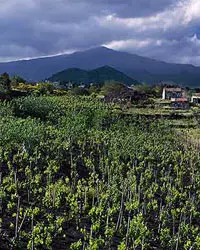 bildoj-sys-200809-a-mt-etna-sicily.jpg