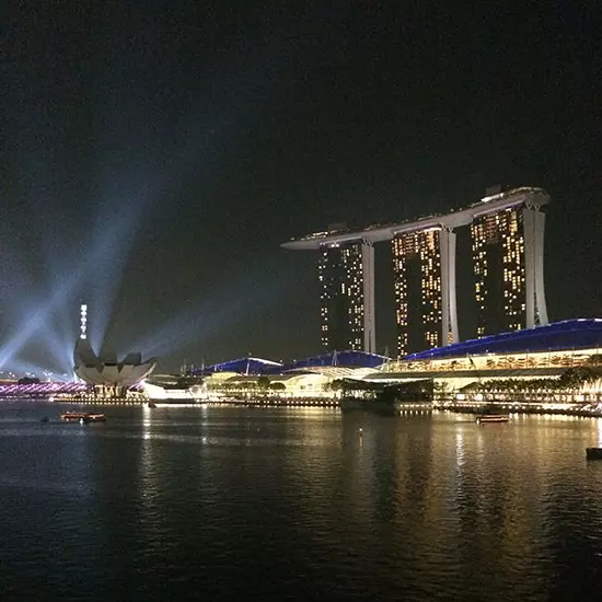 singapureko skyline
