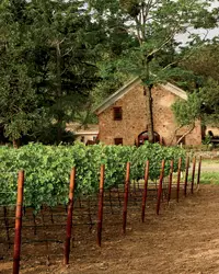 imatges-sys-201110-a-morlet-family-vineyards.jpg