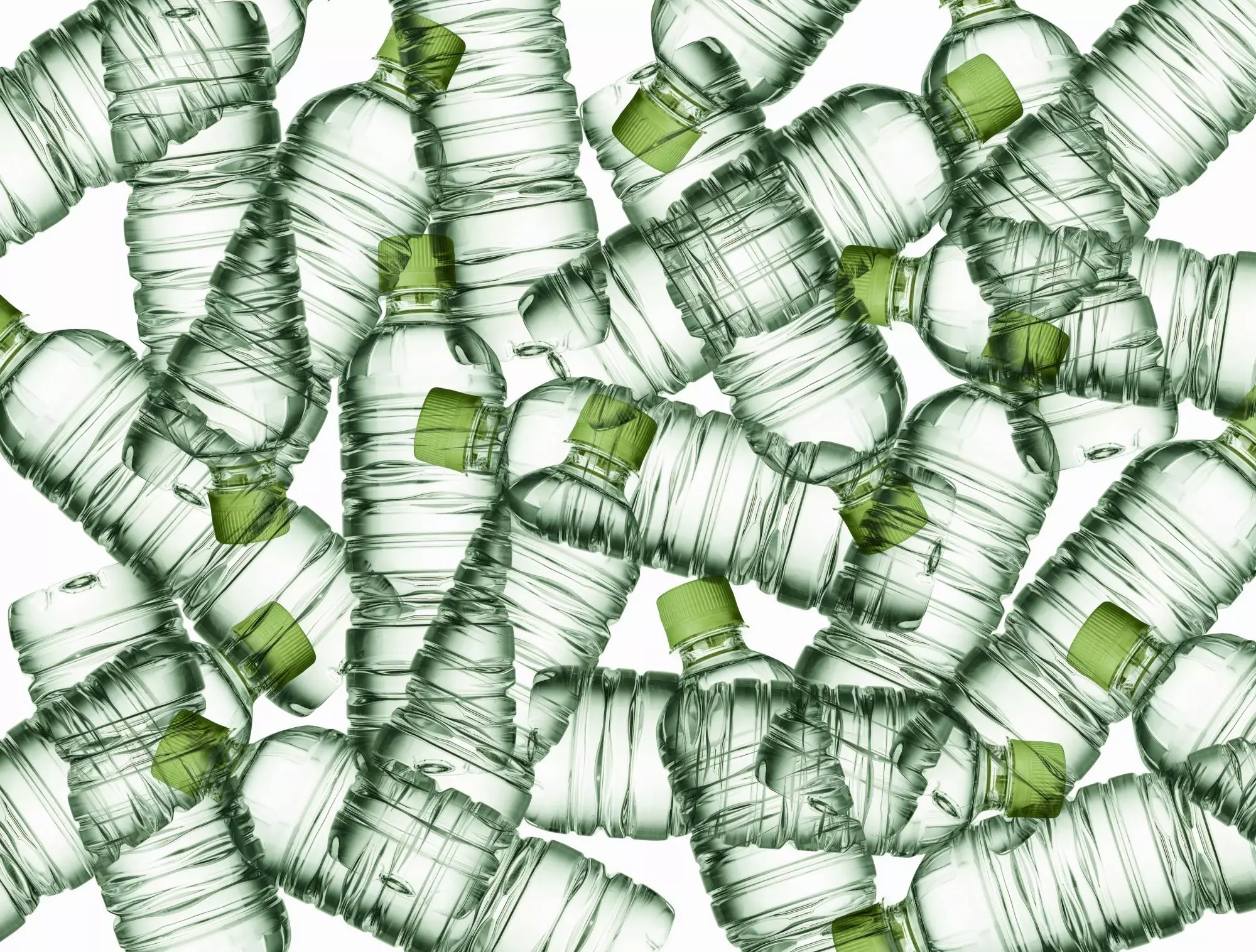 sticle de plastic compostabile
