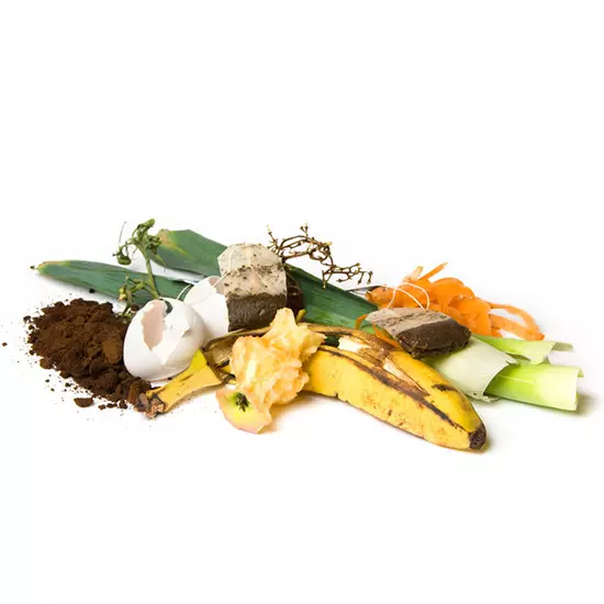 mbụ-201408-HD-composting.jpg