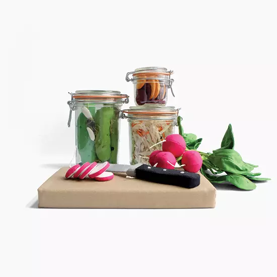 FWX STUFFED HIPSTER EMBLEMS PICKLED PROBIOTICS