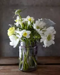 รานังคูลัสและดอกไม้หมอนอิง
