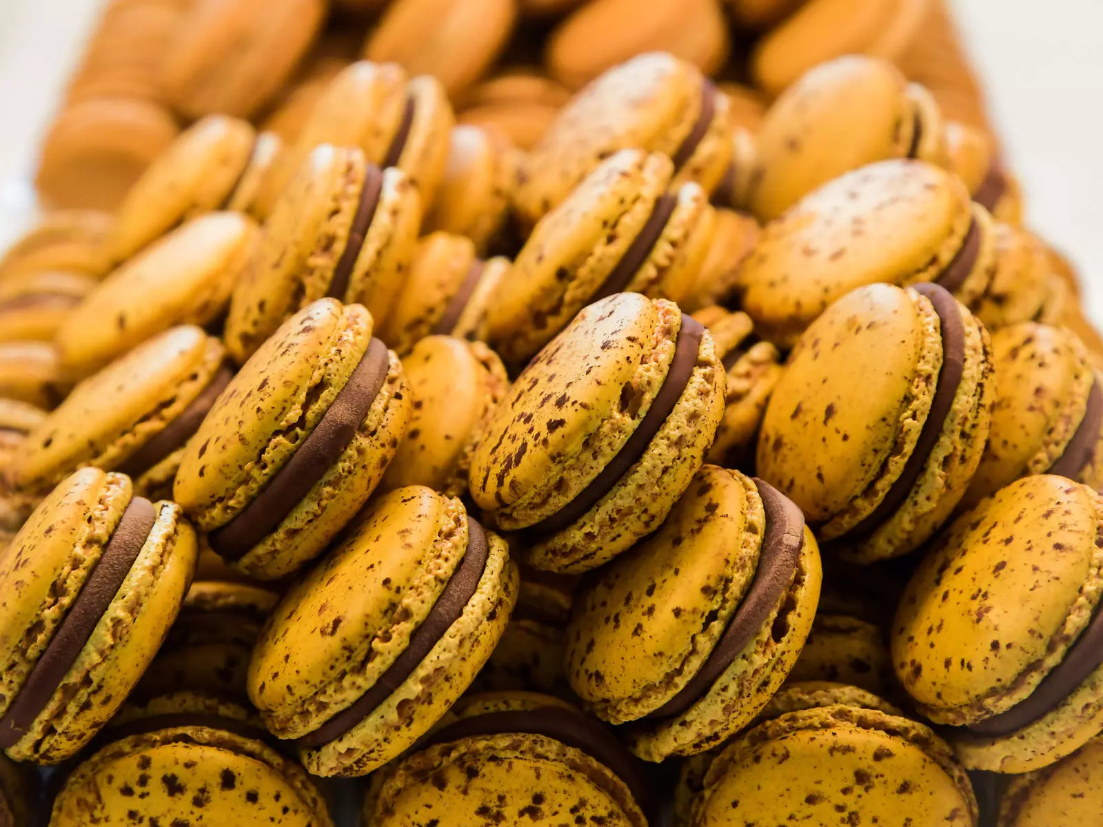 Macarons Pierre Hermé