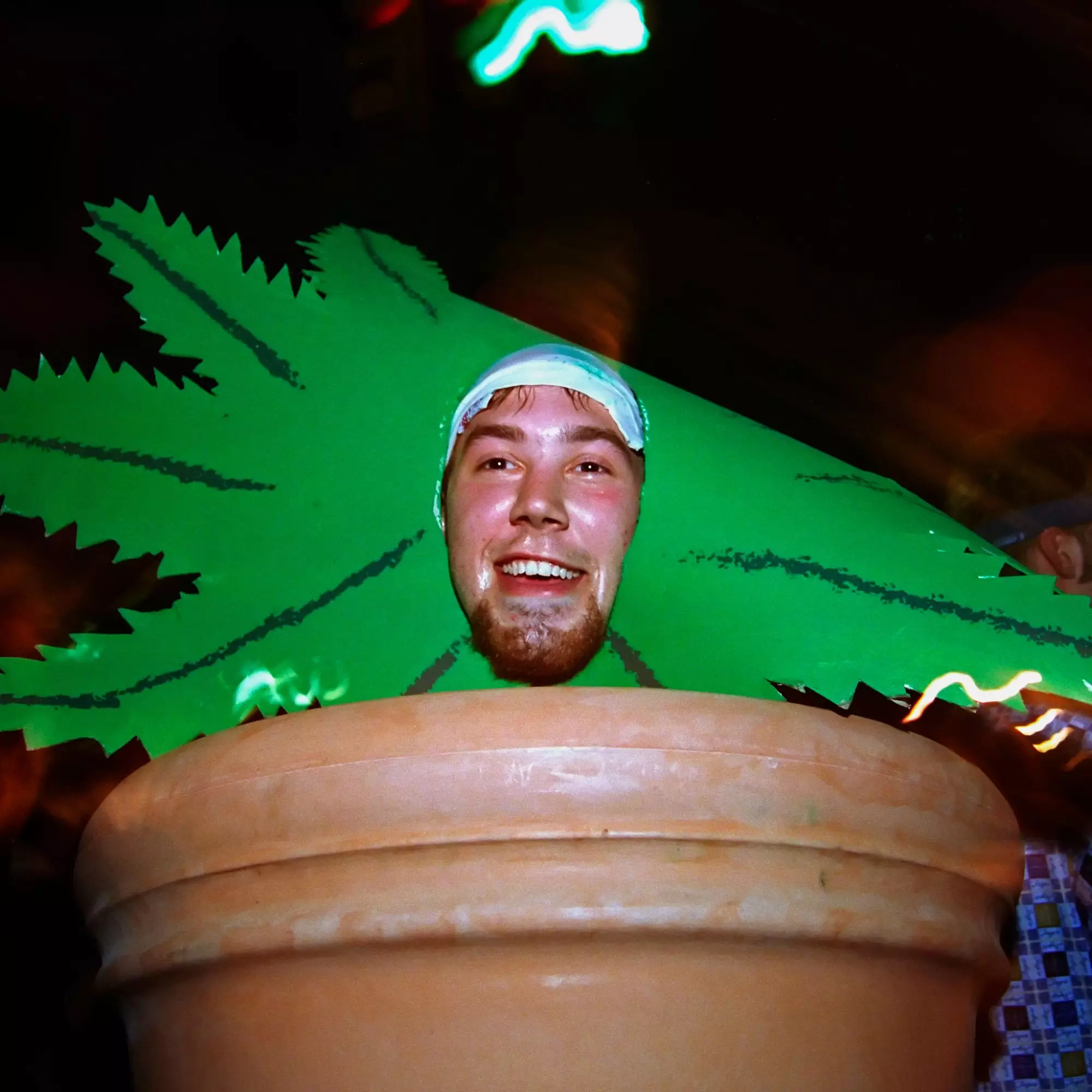 FWX TRICK OR TREATERS MARIHUANA_2