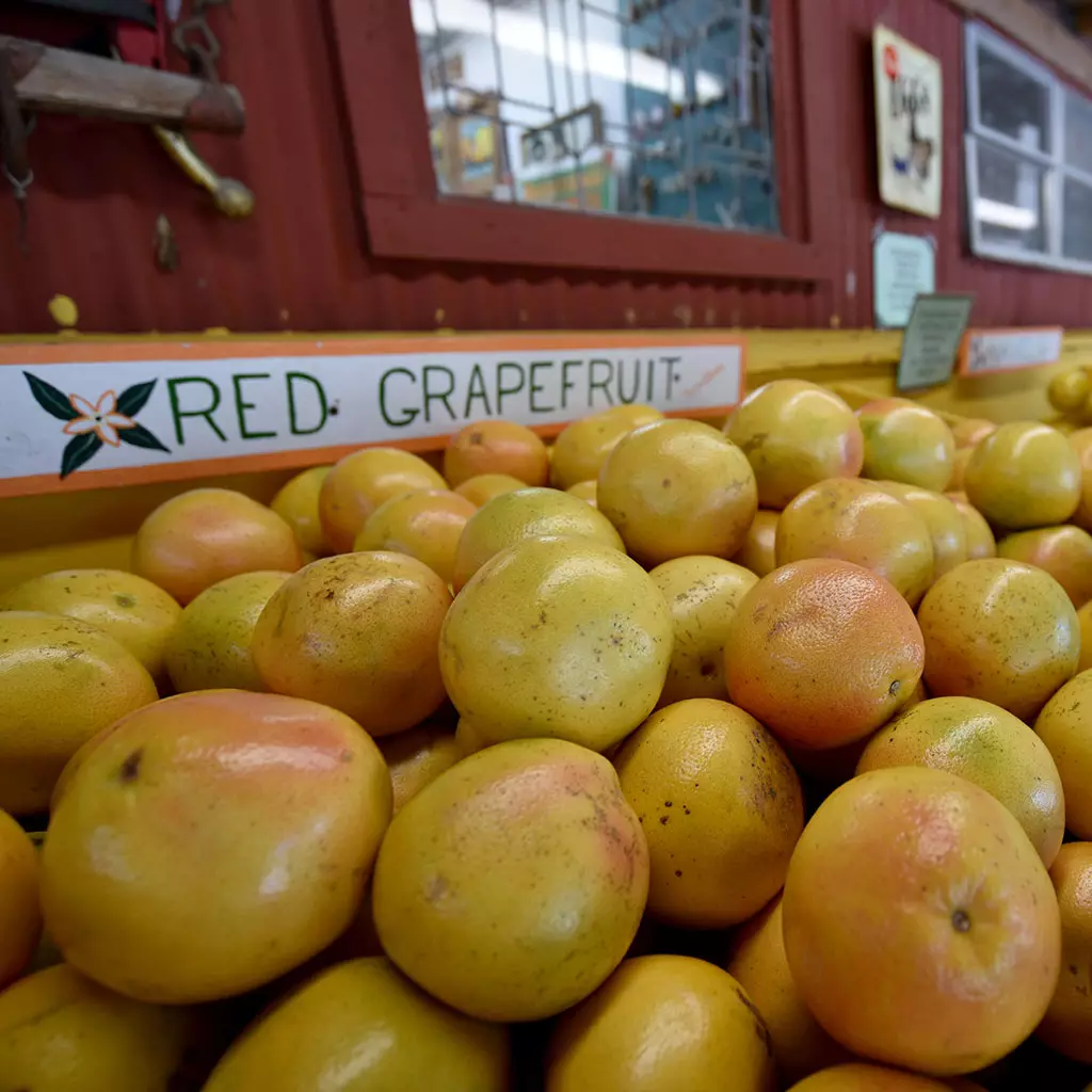 GRAPFRRUIT KERESKEDELEM SÖRBE FWX