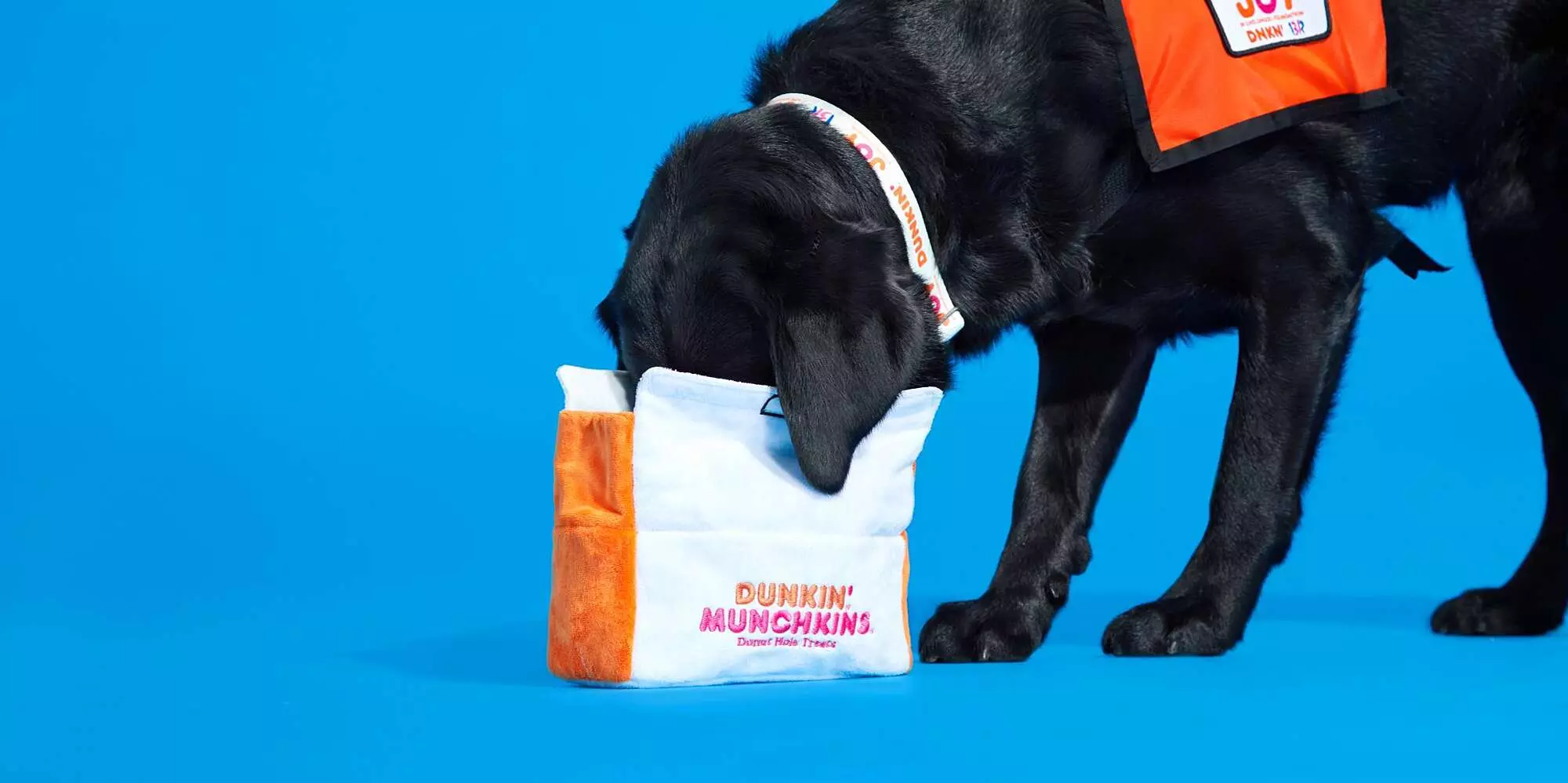 Nyt on Dunkin' Dog -leluja (hyvästä syystä), joten myös koirasi voi saada kahvinsa