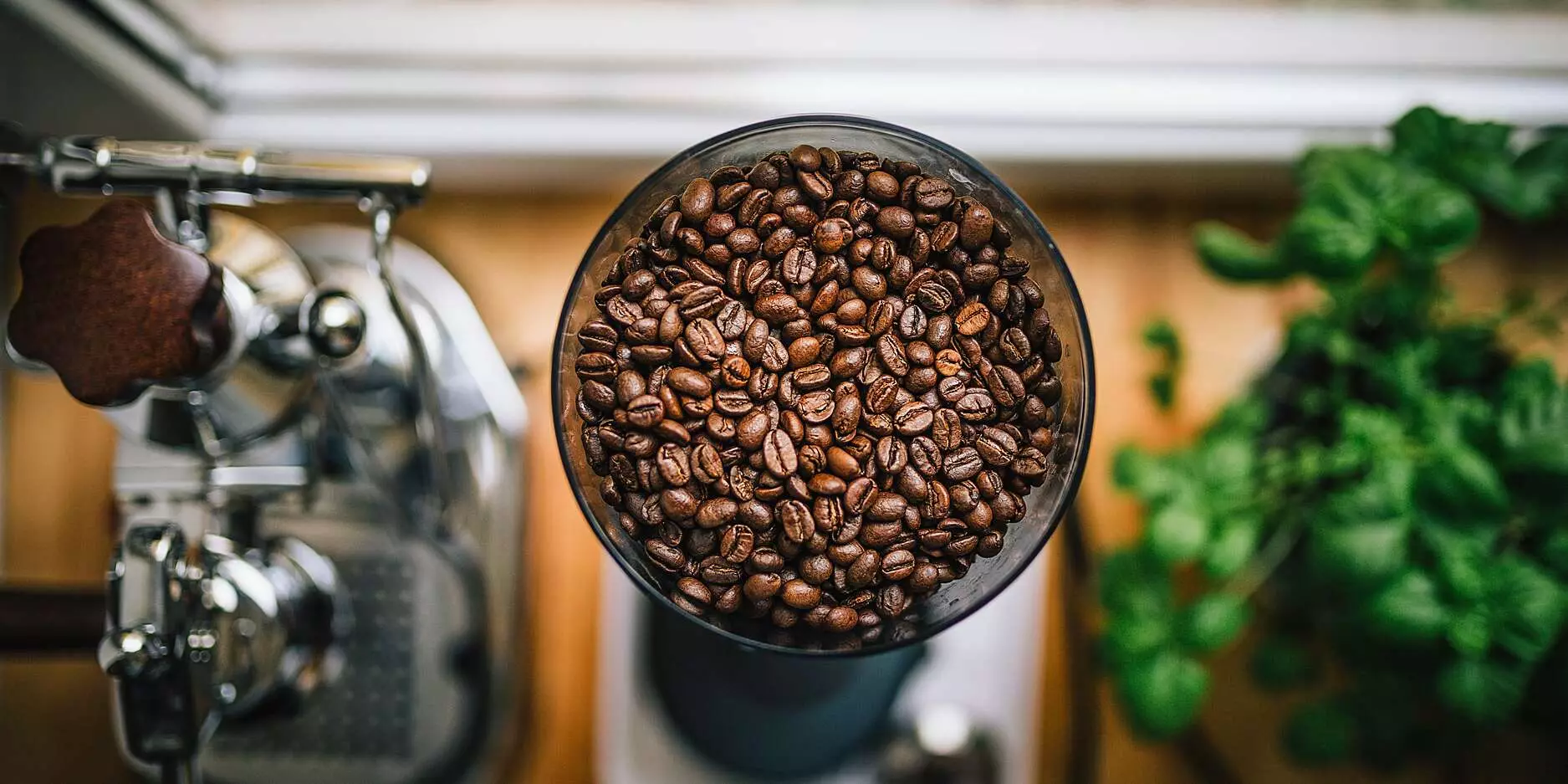 Cómo mejorar su situación de café en casa