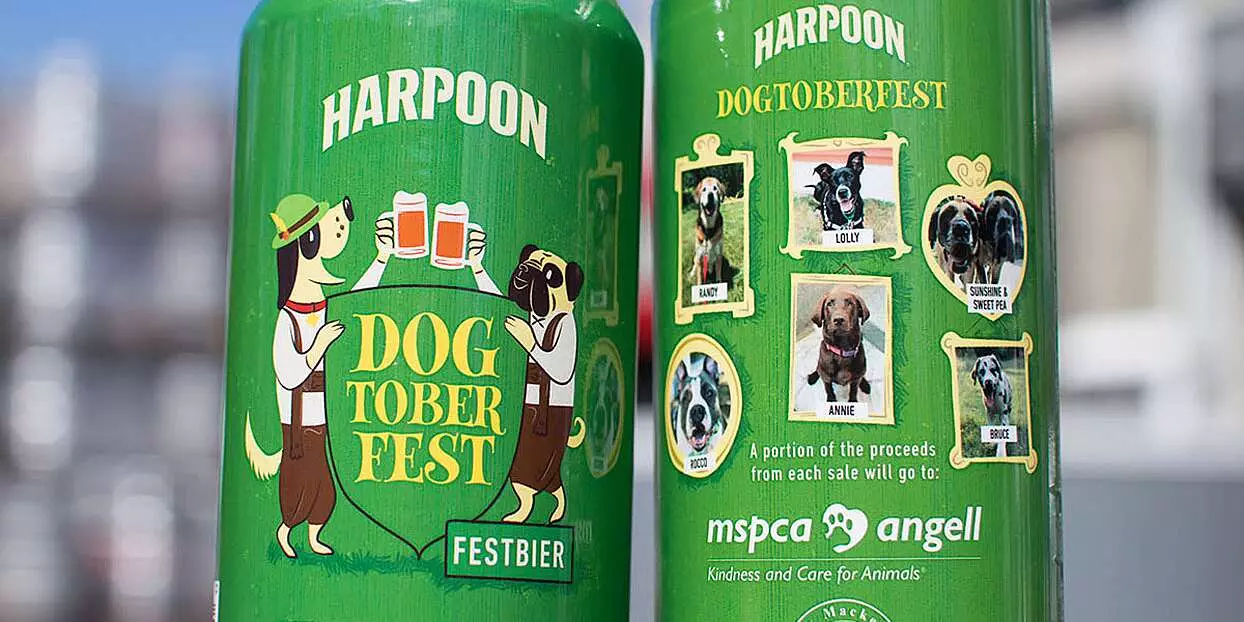 A nova cervexa de Harpoon permítelle axudar aos adorables (e adoptables) cans na lata