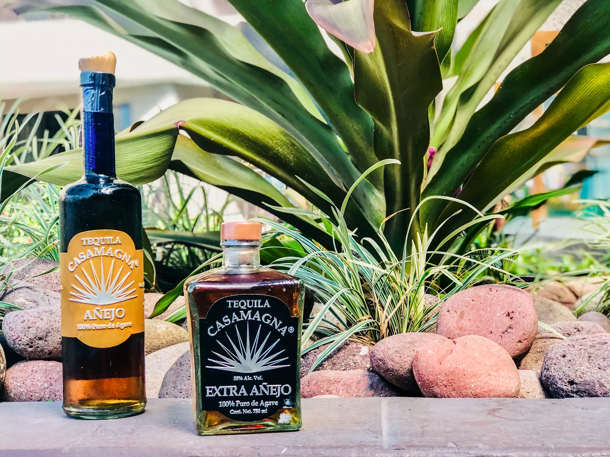 awọn igo tequila