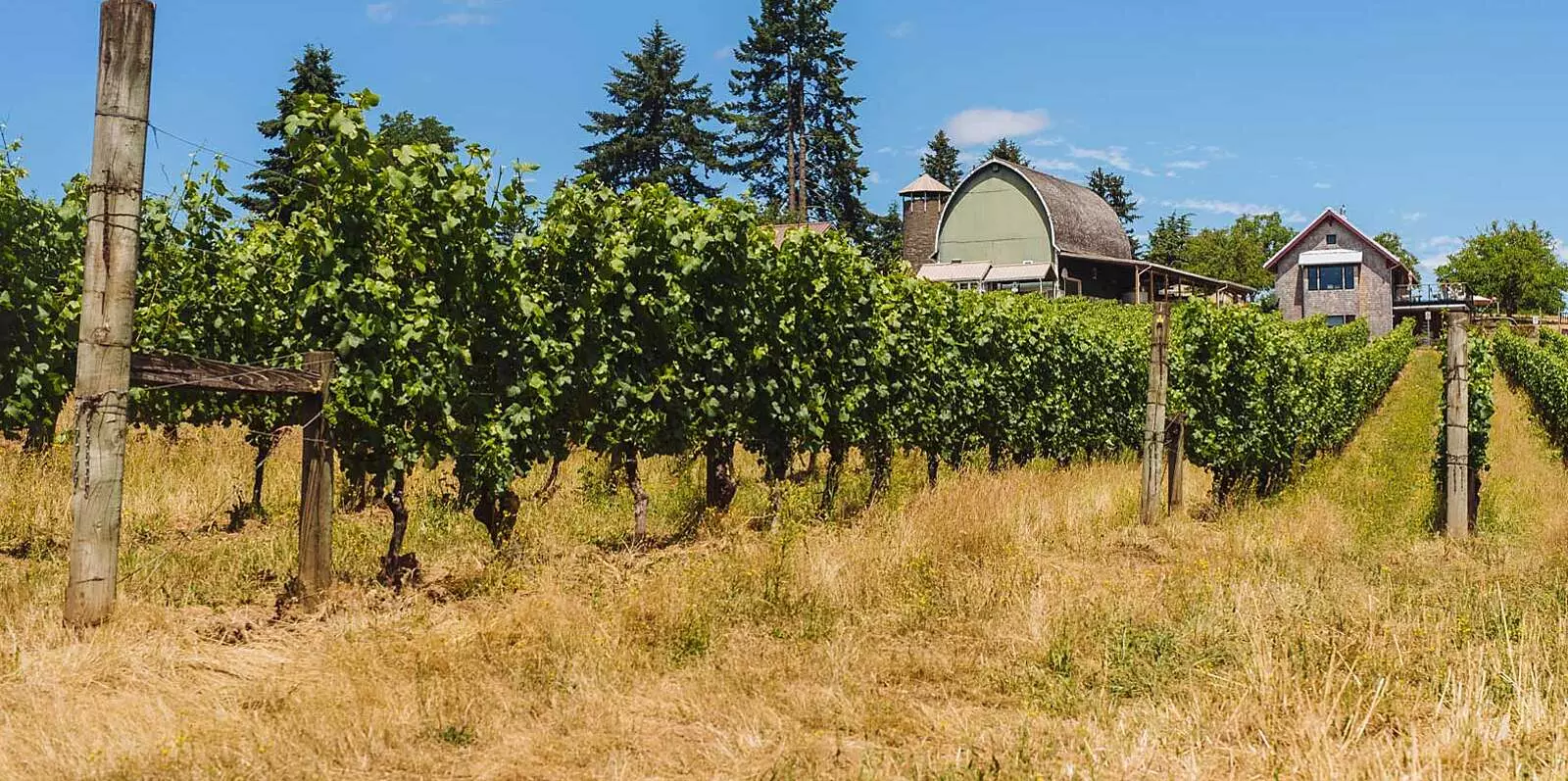 V těchto oregonských vinařstvích můžete popíjet svá oblíbená vína při cvičení jógy