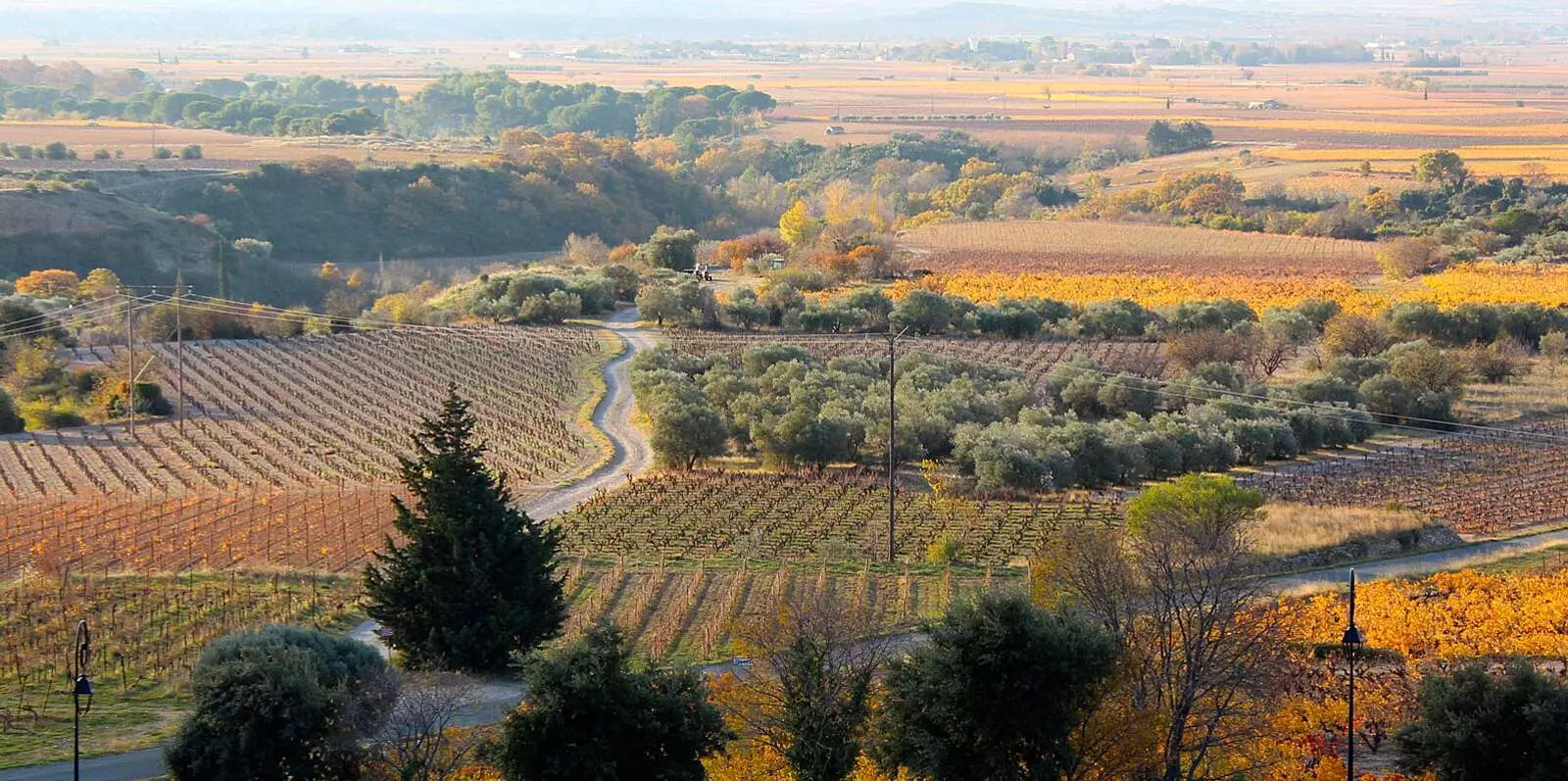 Cestovní průvodce Languedoc: Tento jižní francouzský region je nutnou destinací pro víno a mořské plody