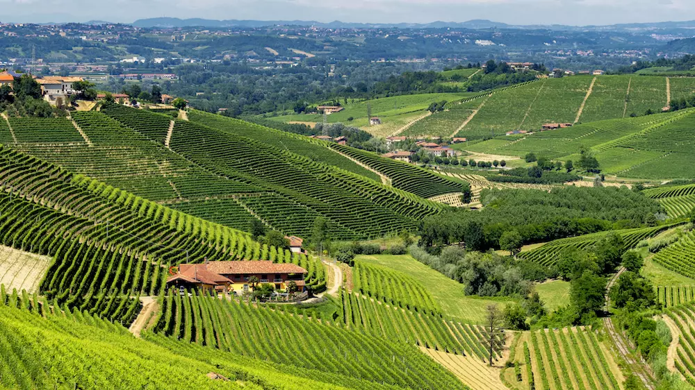 vineyards-near-barbaresco-italy-blog1118.jpg