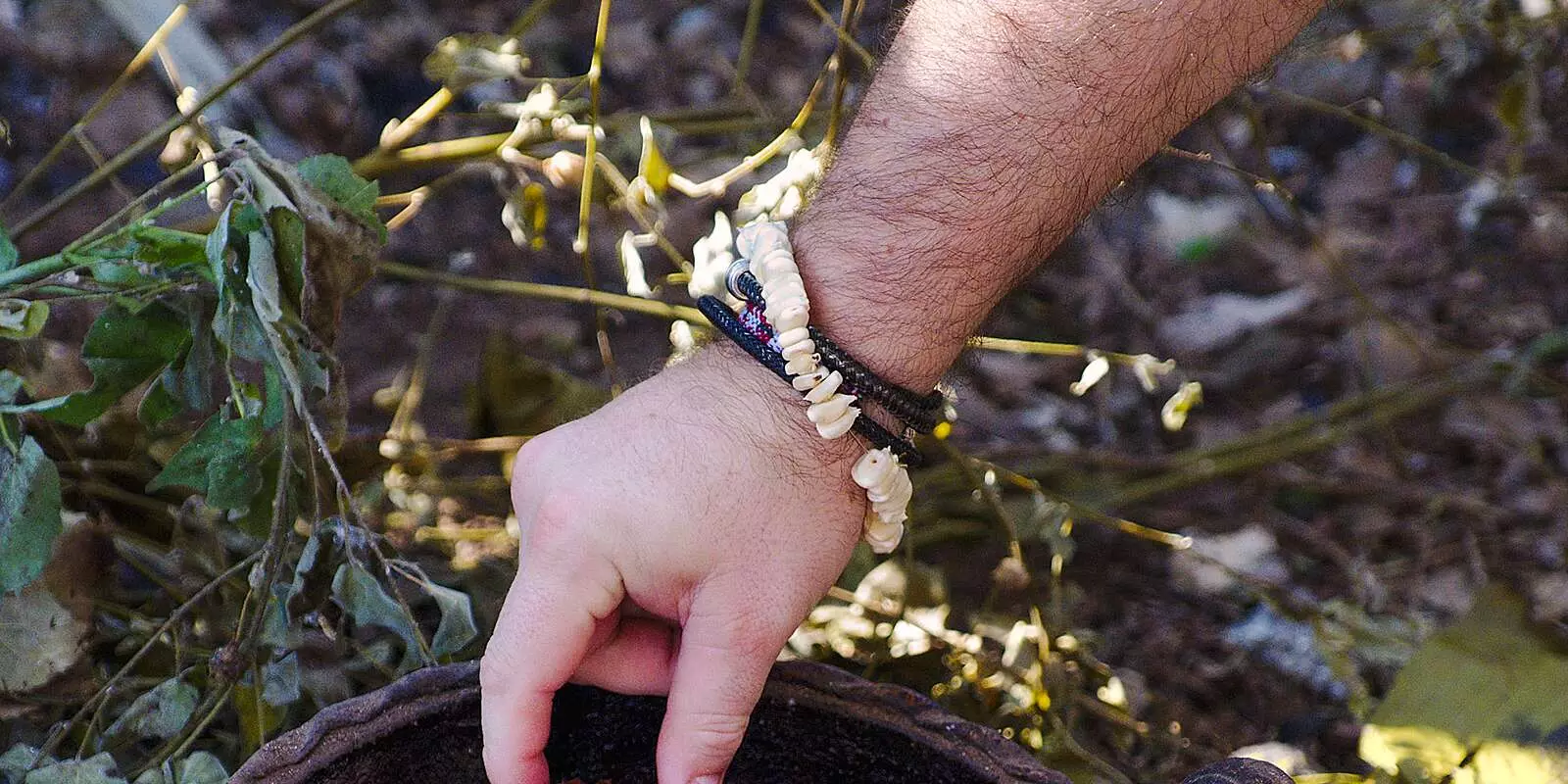 René Redzepi: Die 3 Dinge, die jeder in Yucatán essen sollte