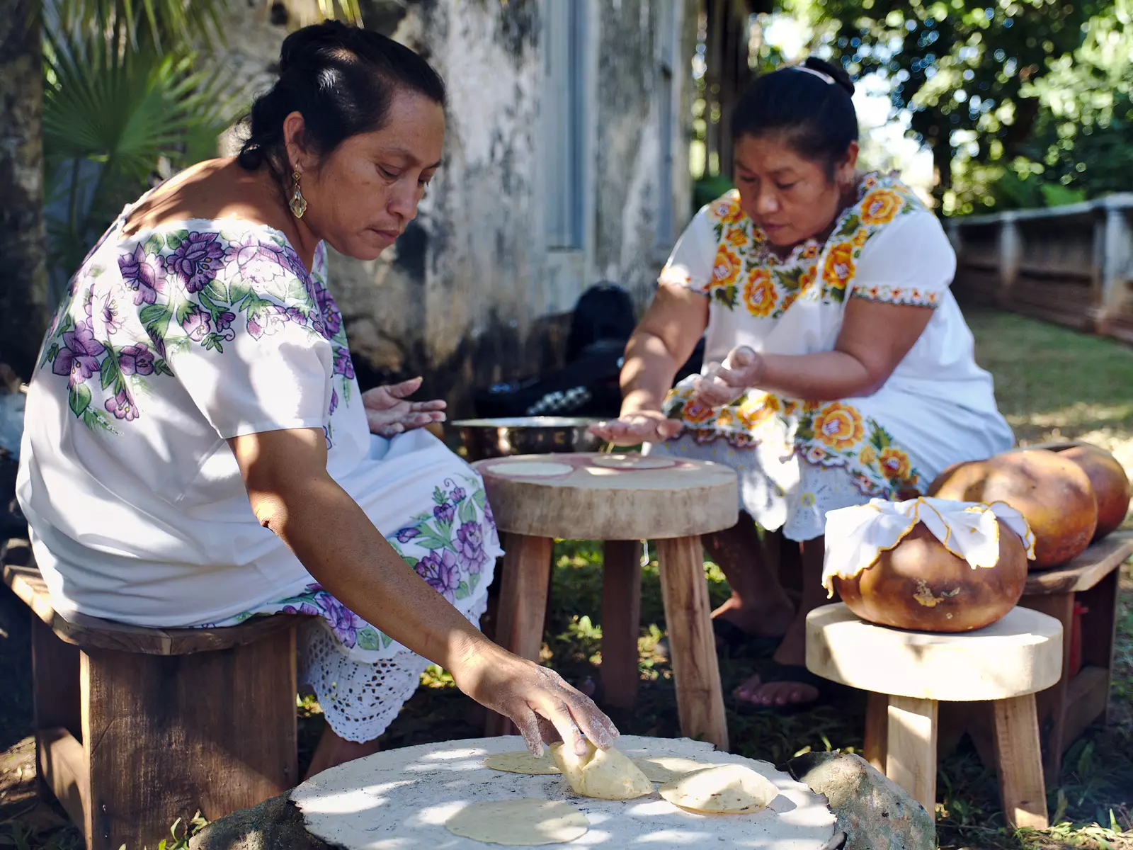 Yucatan matur