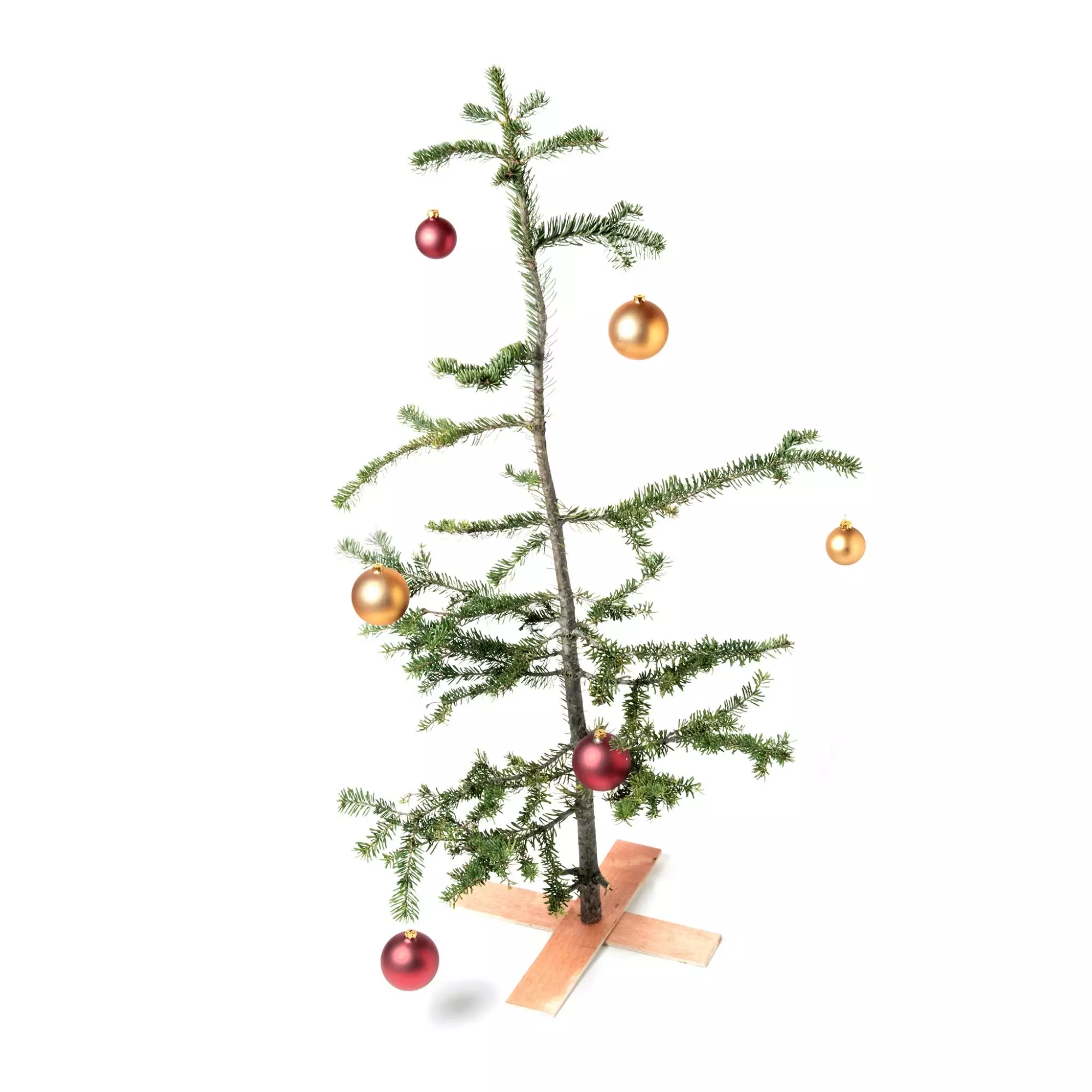 FWX KERSTBOOM SCHOONMAKEN