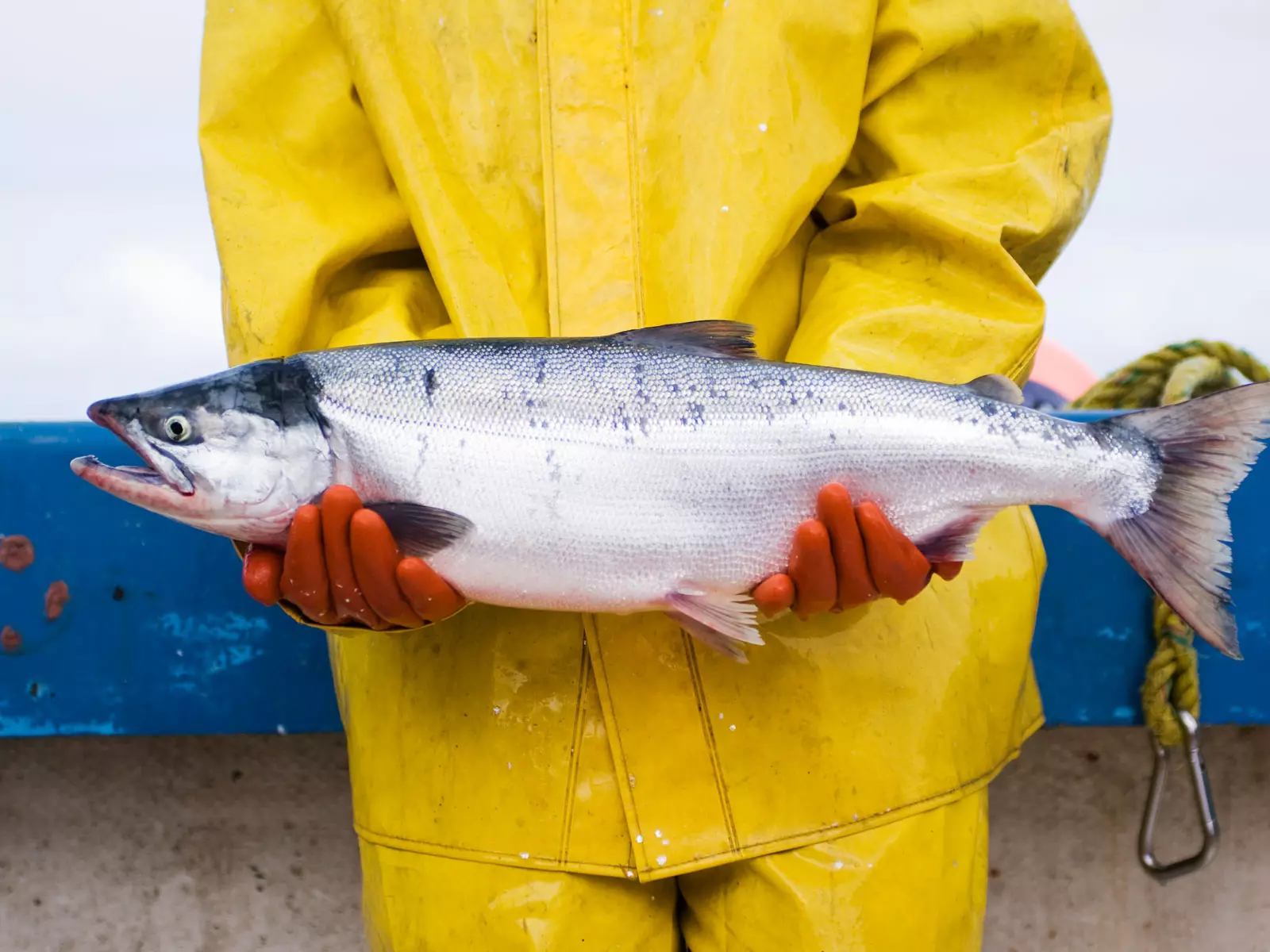 alaska-salmon-shortage-FT-BLOG0818.jpg
