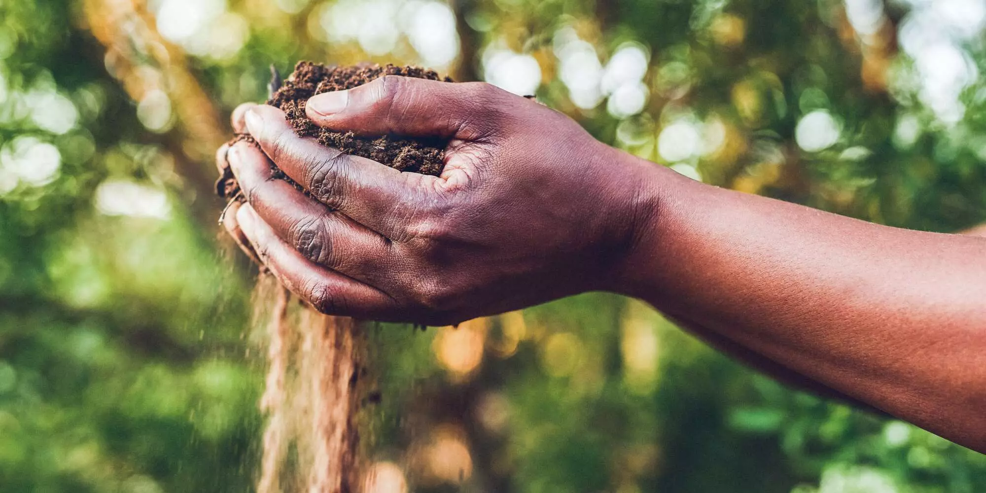 Kumaha Amukan Berkebun Nyamankeun Kuring