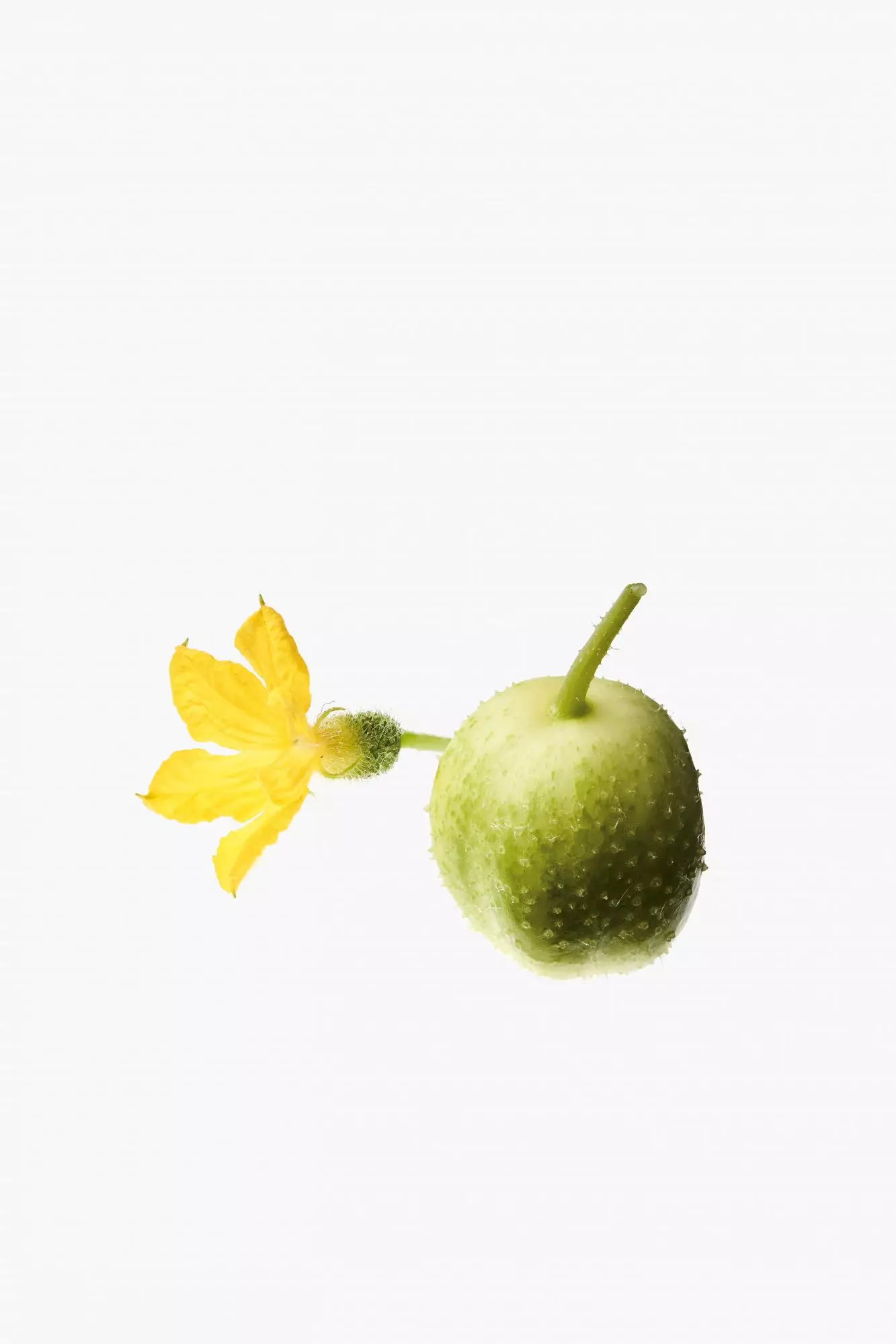 Ón Domhan Criostail Apple Cucumber.jpg