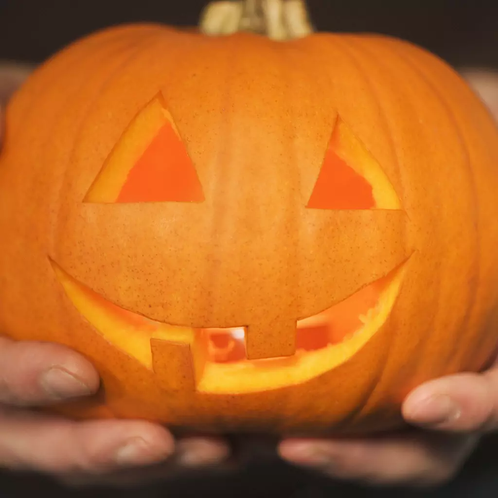 FWX DRUG SMUGGLING PUMPKINS