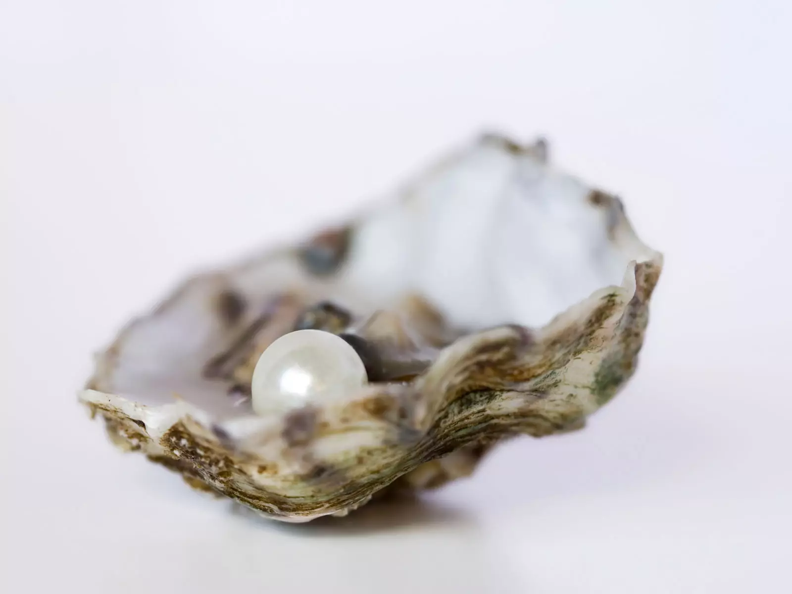 pearl-oyster-grand-central-FT-BLOG1218.jpg