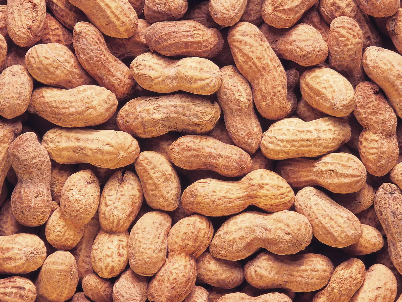 cura dell'allergia alle arachidi