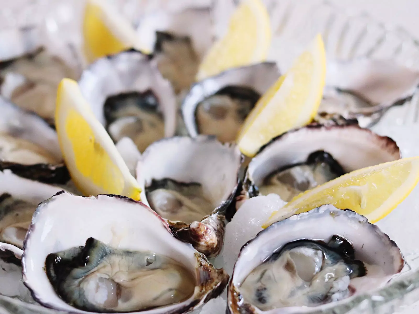 oysters-mental-health-FT-BLOG0319.jpg