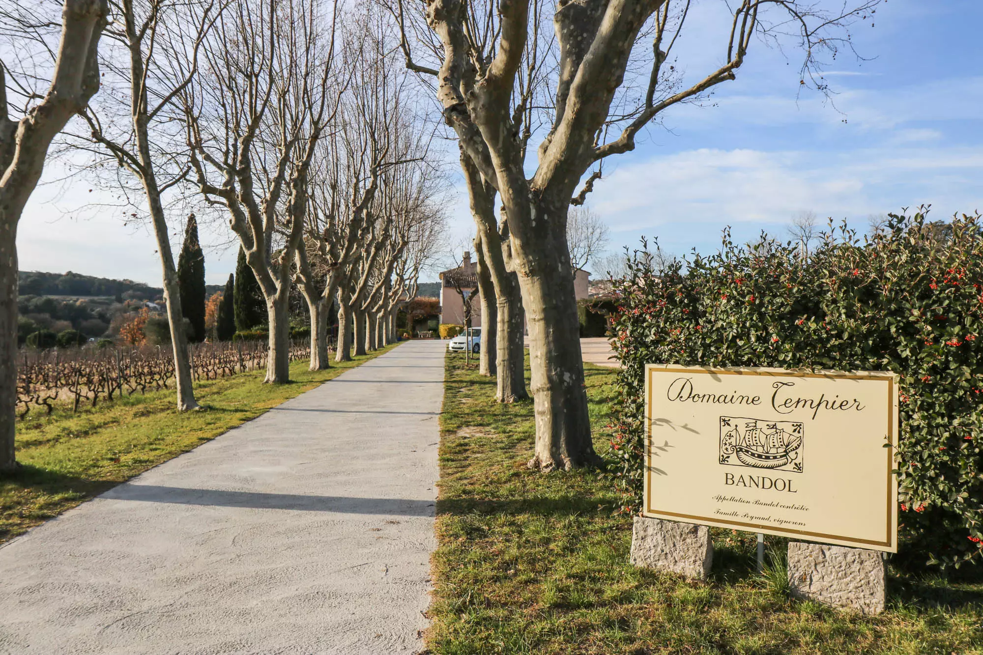 Domaine Tempier