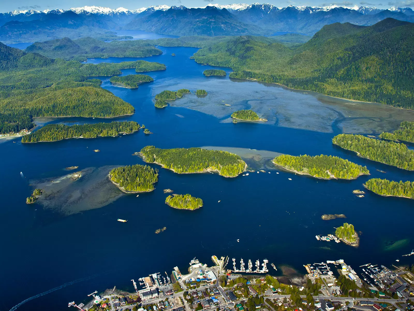 pemandangan udara tofino