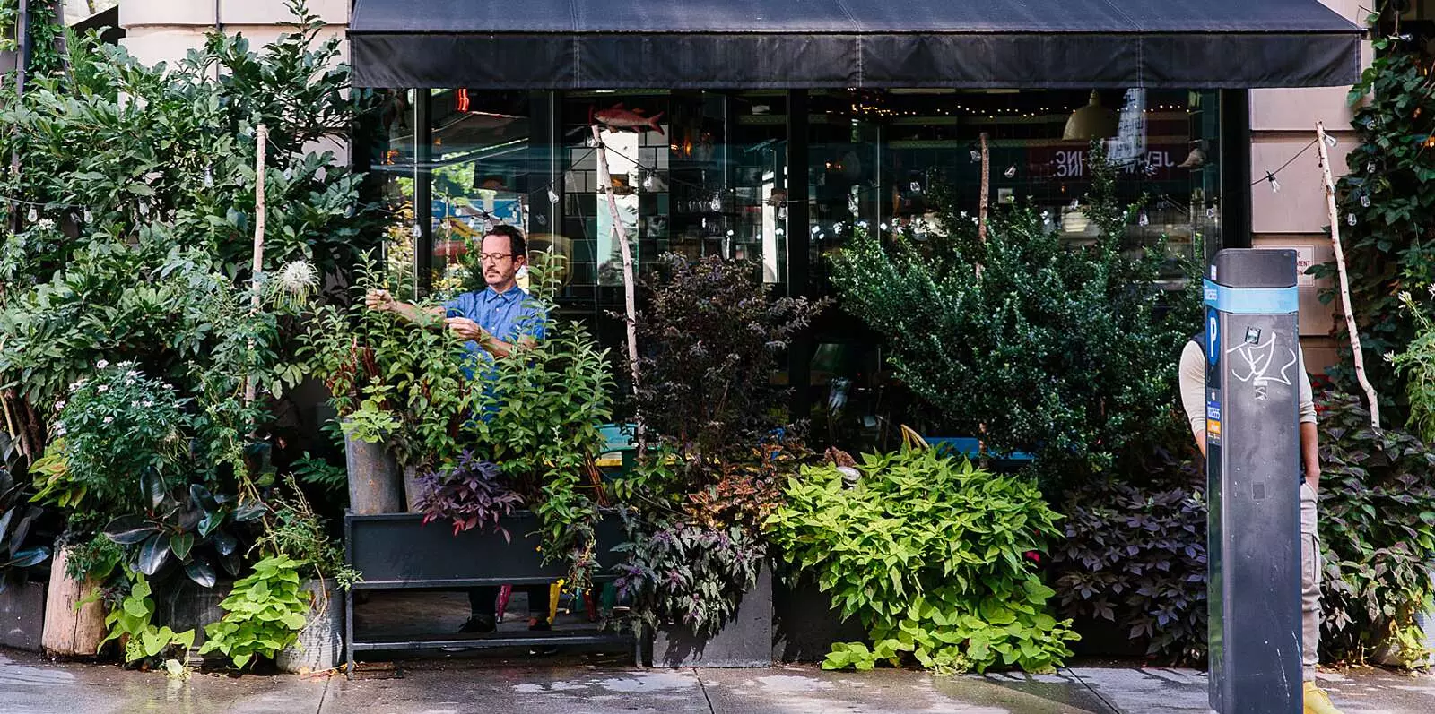 Der Mann hinter den Gärten in einigen der besten Restaurants von NYC