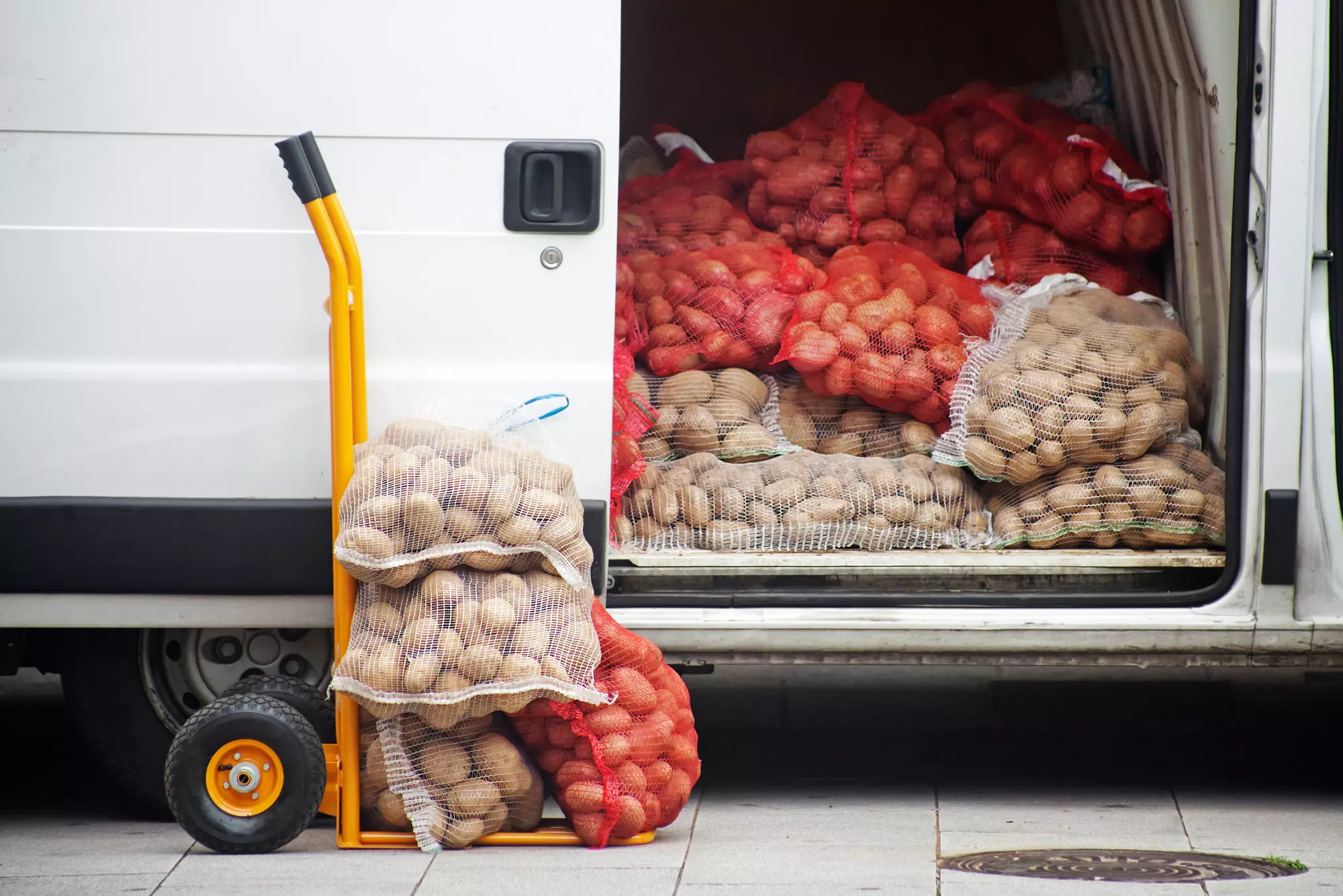 Țarul alimentar din New York, Kathryn Garcia