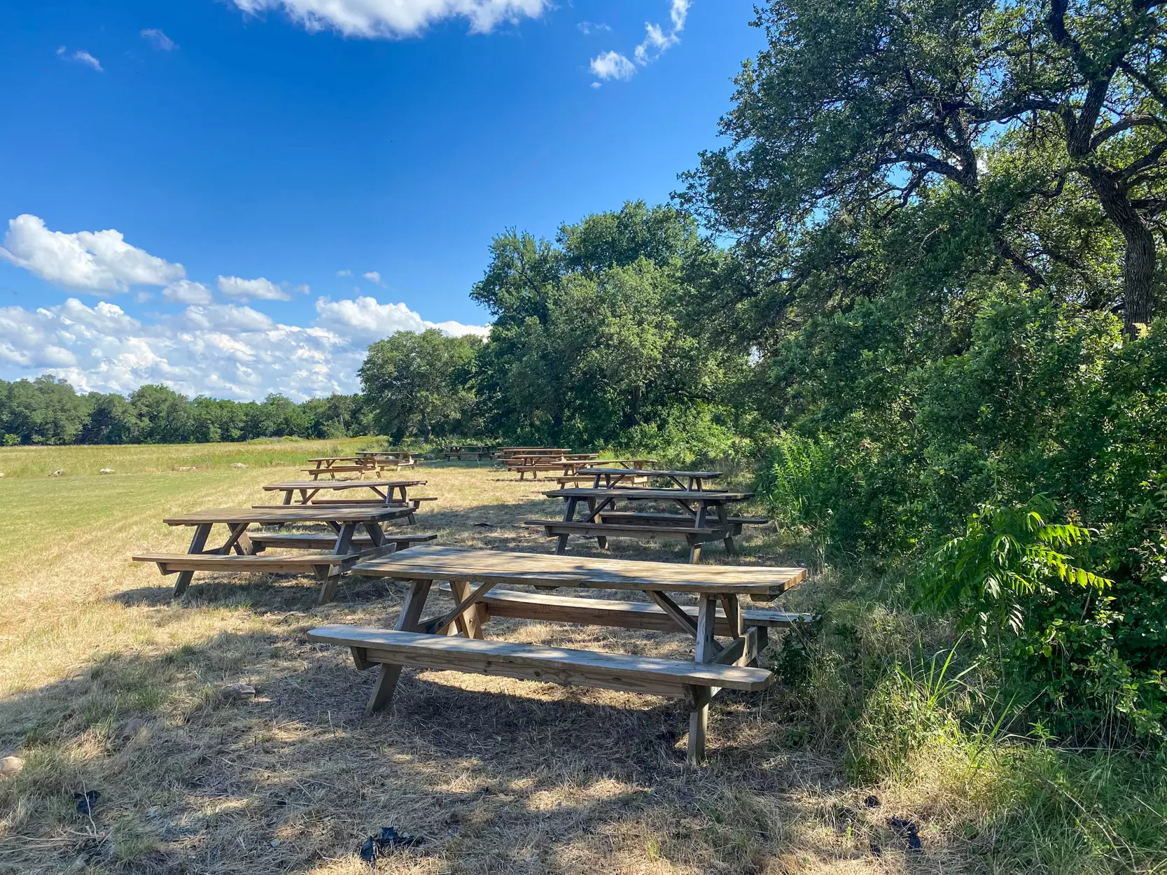 Brewing Berubah Menjadi Taman Jarak Sosial | Jester King Austin