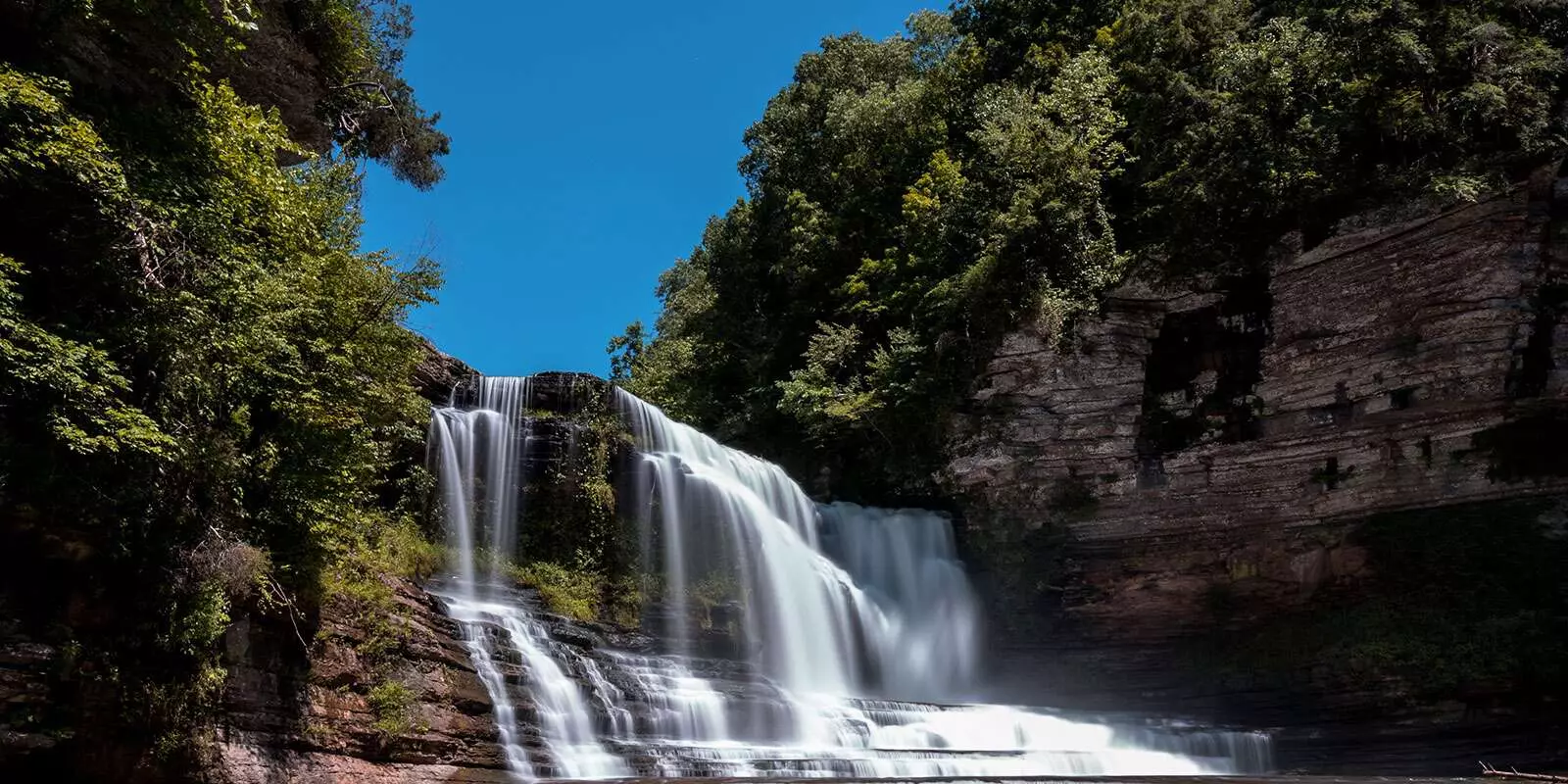 Nashville Brewery's New Beer Benefits Tennessee State Parks