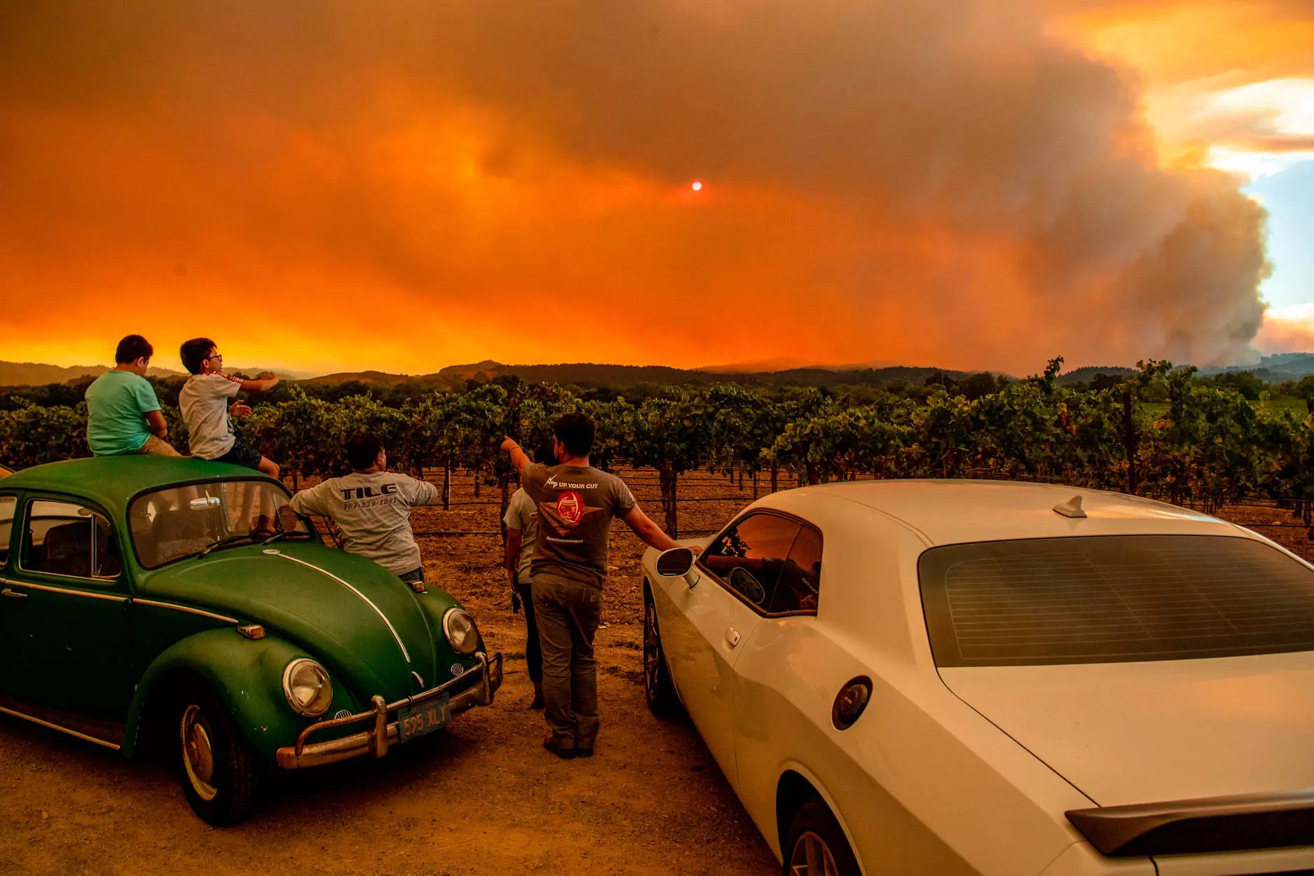 Orang ramai menyaksikan kebakaran Walbridge, sebahagian daripada kebakaran Kompleks Kilat LNU yang lebih besar, dari ladang anggur di Healdsburg, California pada 20 Ogos 2020.