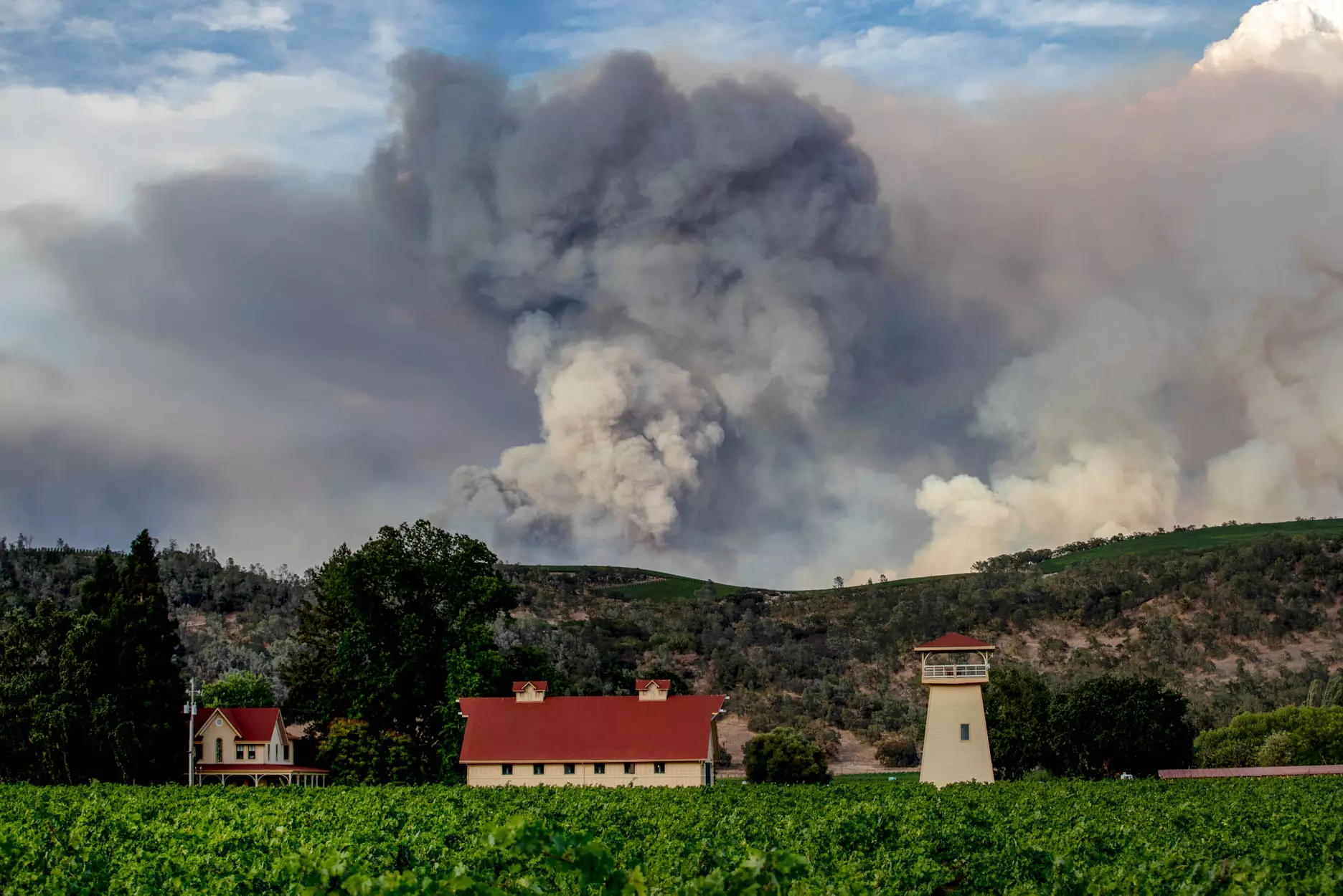 L'incendi de Hennessey fa ràbia a les muntanyes darrere de les vinyes Beckstoffer a Napa, Califòrnia, el dimarts 18 d'agost del 2020.