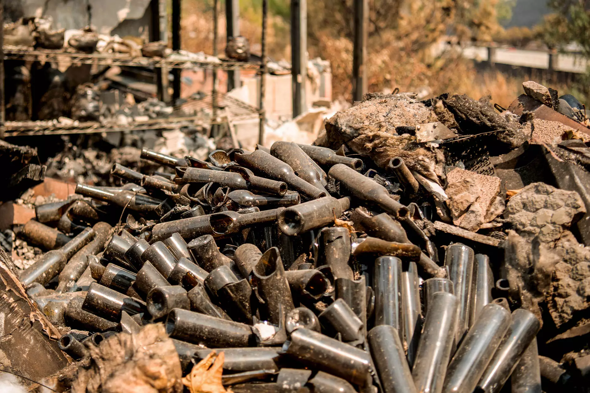 Botol wain yang terbakar terletak di tengah-tengah mayat hangus di La Borgata Winery semasa kebakaran Kompleks Kilat LNU di Vacaville, California pada 23 Ogos 2020.