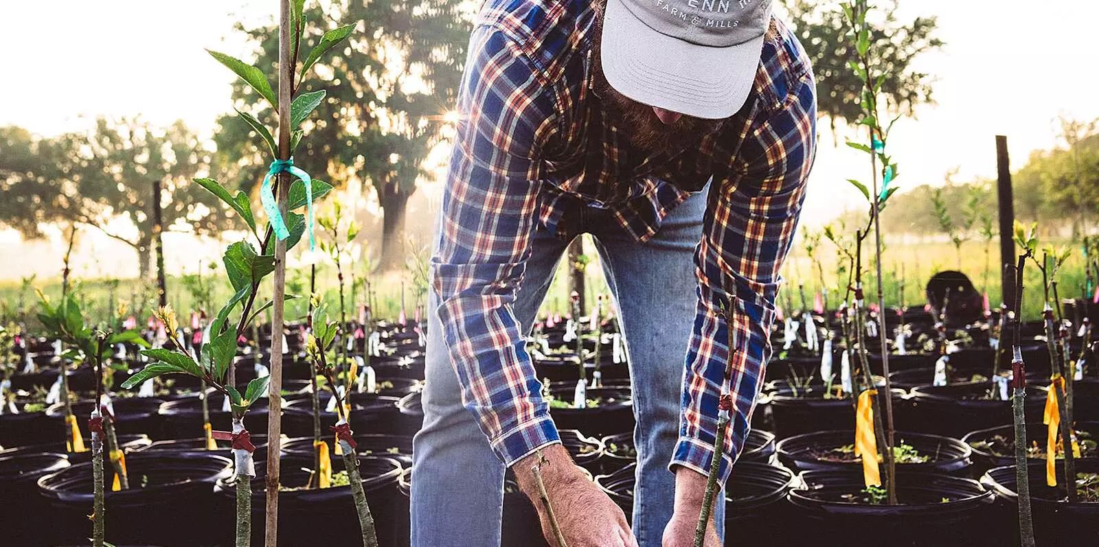 Møt mannen som startet Amerikas minste risfarm