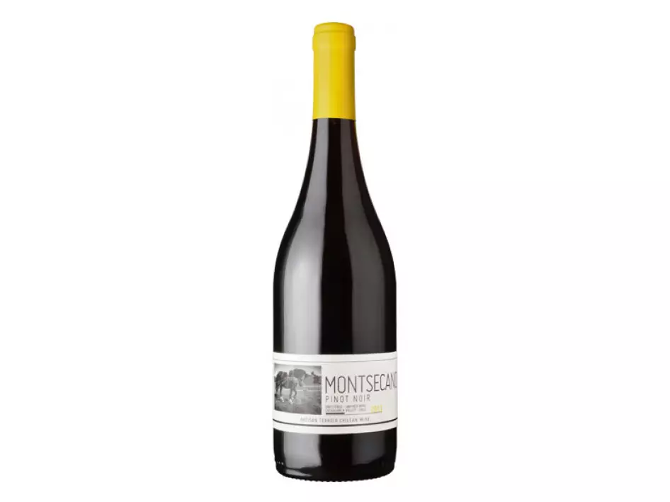 2016 Montsecano Pinot Noir