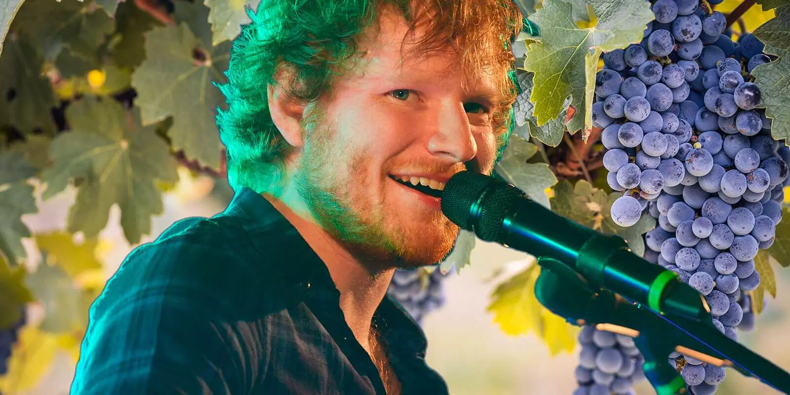 Denna Ed Sheeran-parodi handlar om