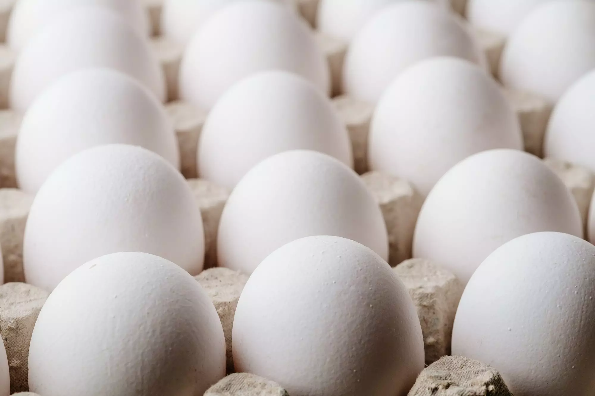 ट्रे बॉक्समध्ये अनेक पांढरी कोंबडीची अंडी खातात